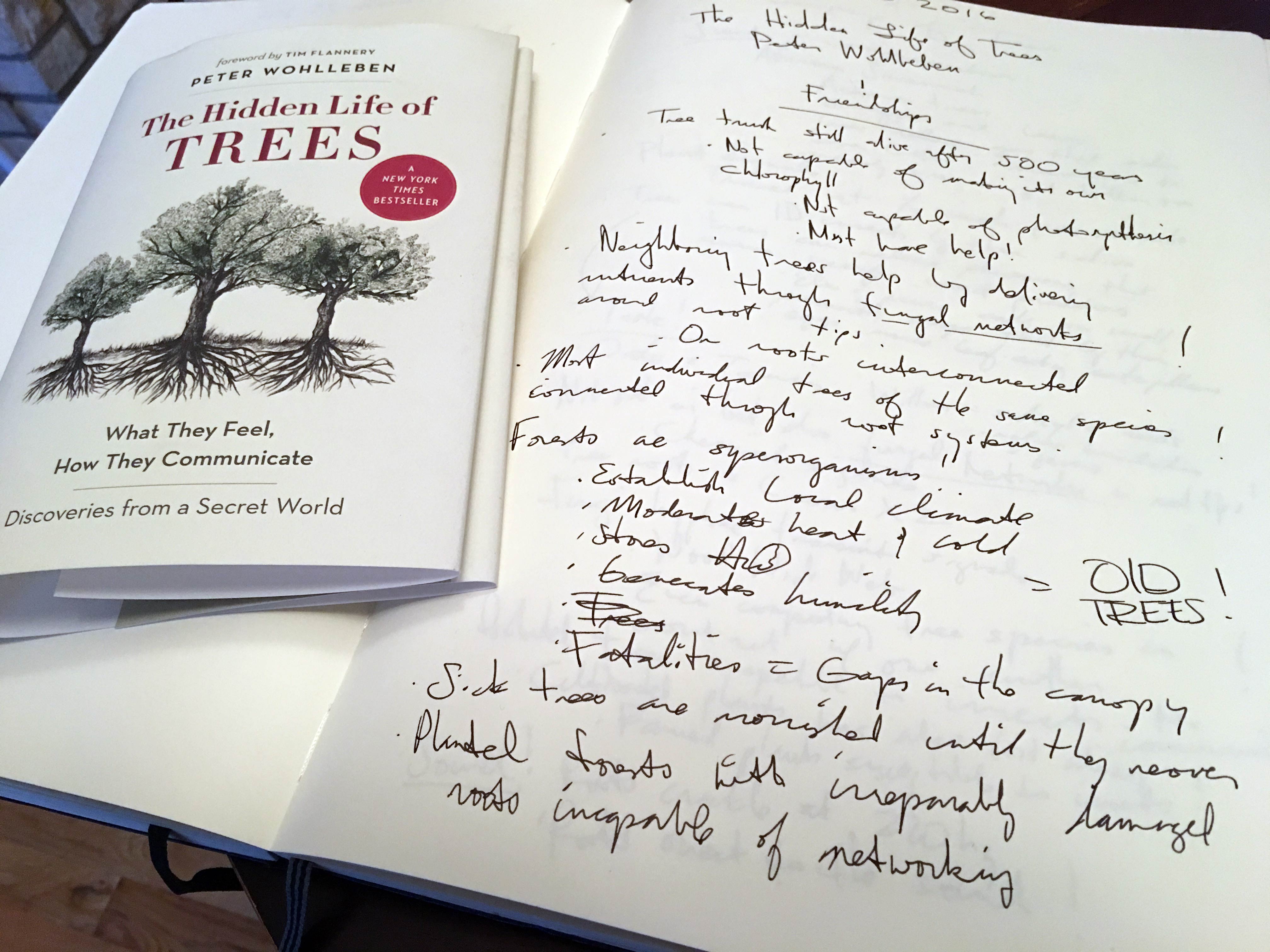 The Hidden Life of Trees – a foreword, two introductions, and chapter 1 ...