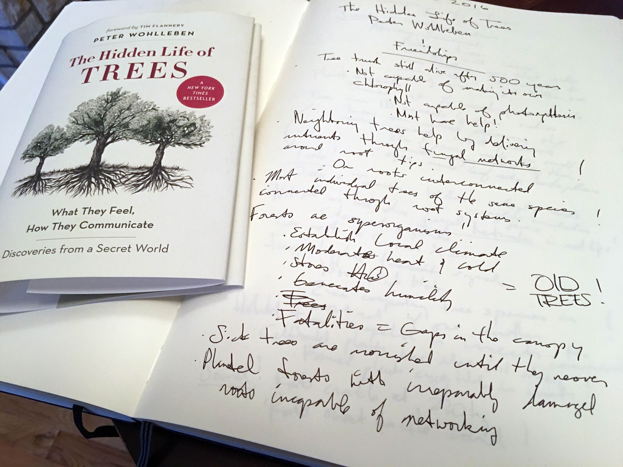 The Hidden Life of Trees – a foreword, two introductions, and chapter 1 ...